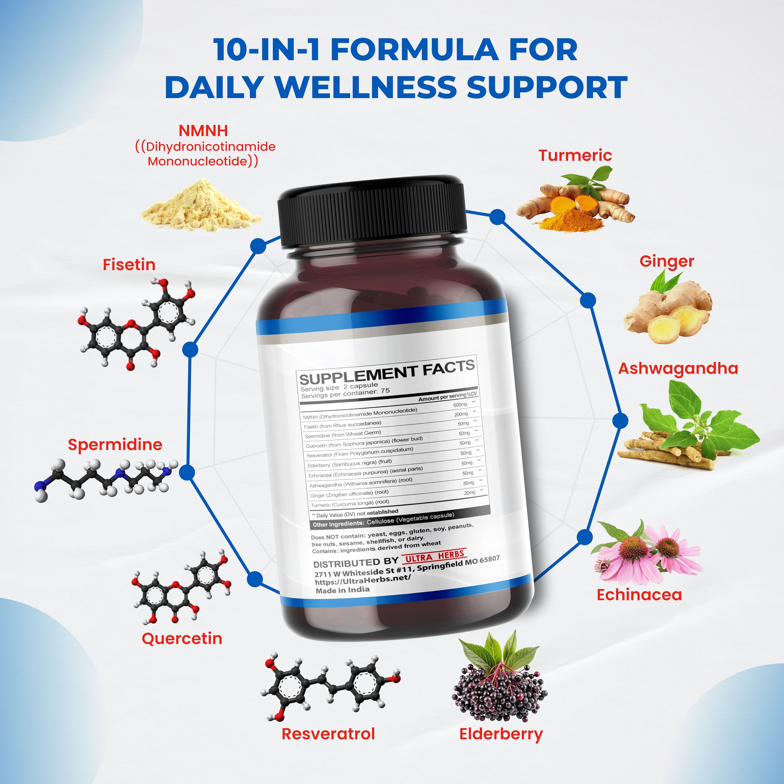 NMNH elderberry for antioxidant benefits