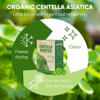 NMPT Centella Asiatica tea bags