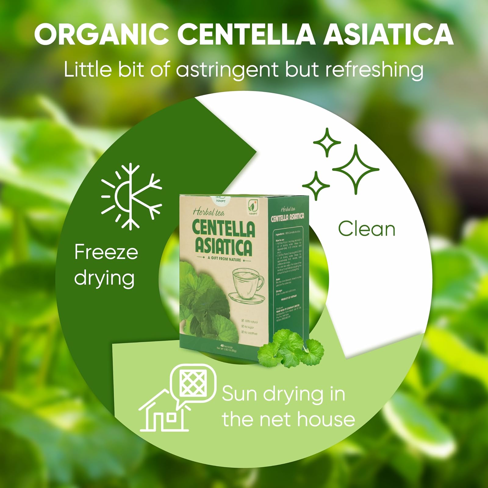 NMPT Centella Asiatica tea bags