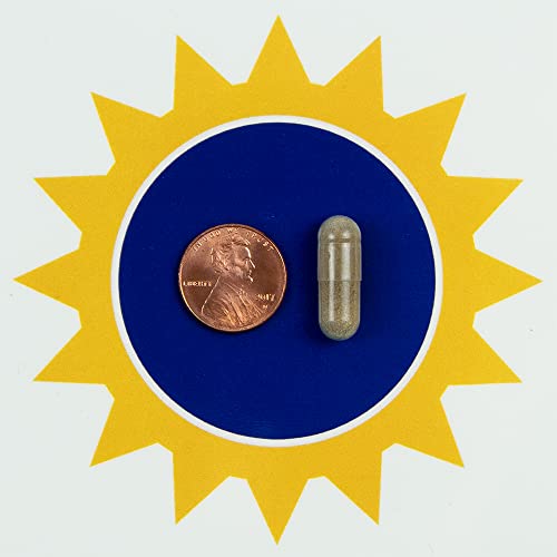 no artificial fillers supplements