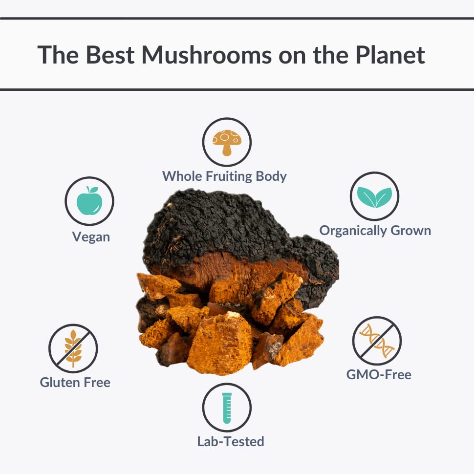 No fillers chaga extract benefits