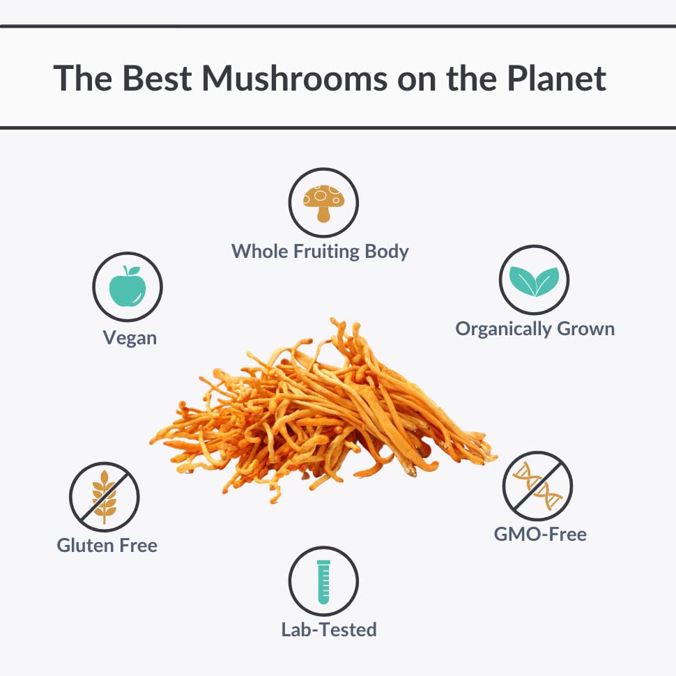 No fillers in Cordyceps mushroom capsules