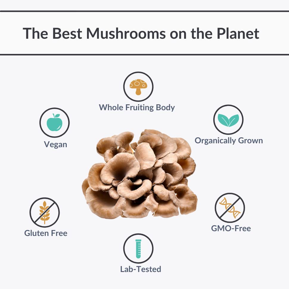 No fillers or grains in mushrooms