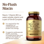 No-Flush Niacin for energy support
