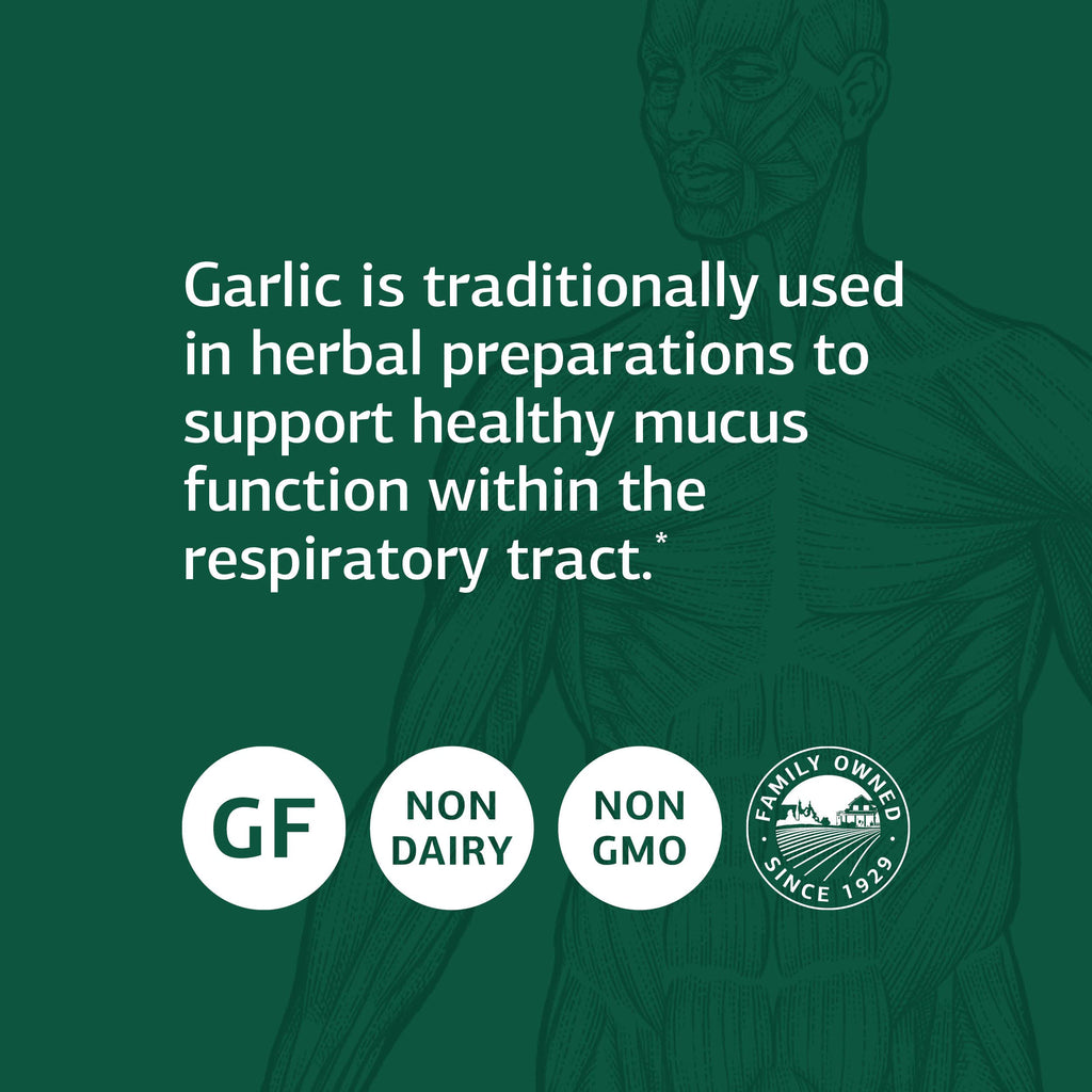 non-dairy aged garlic extract benefits