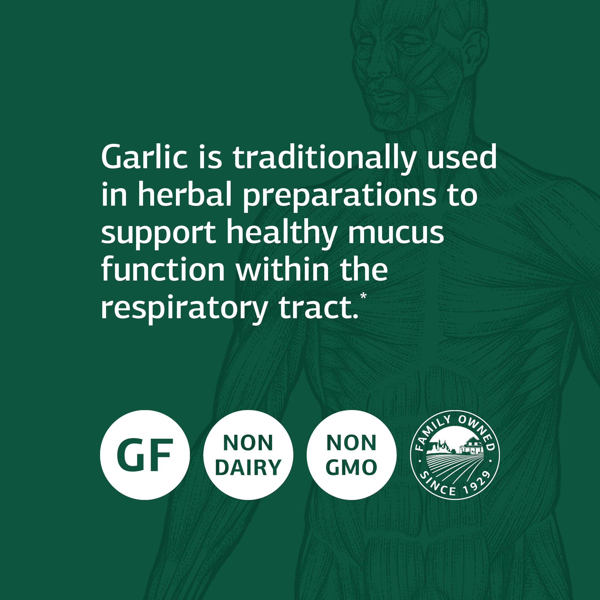 non-dairy aged garlic extract benefits