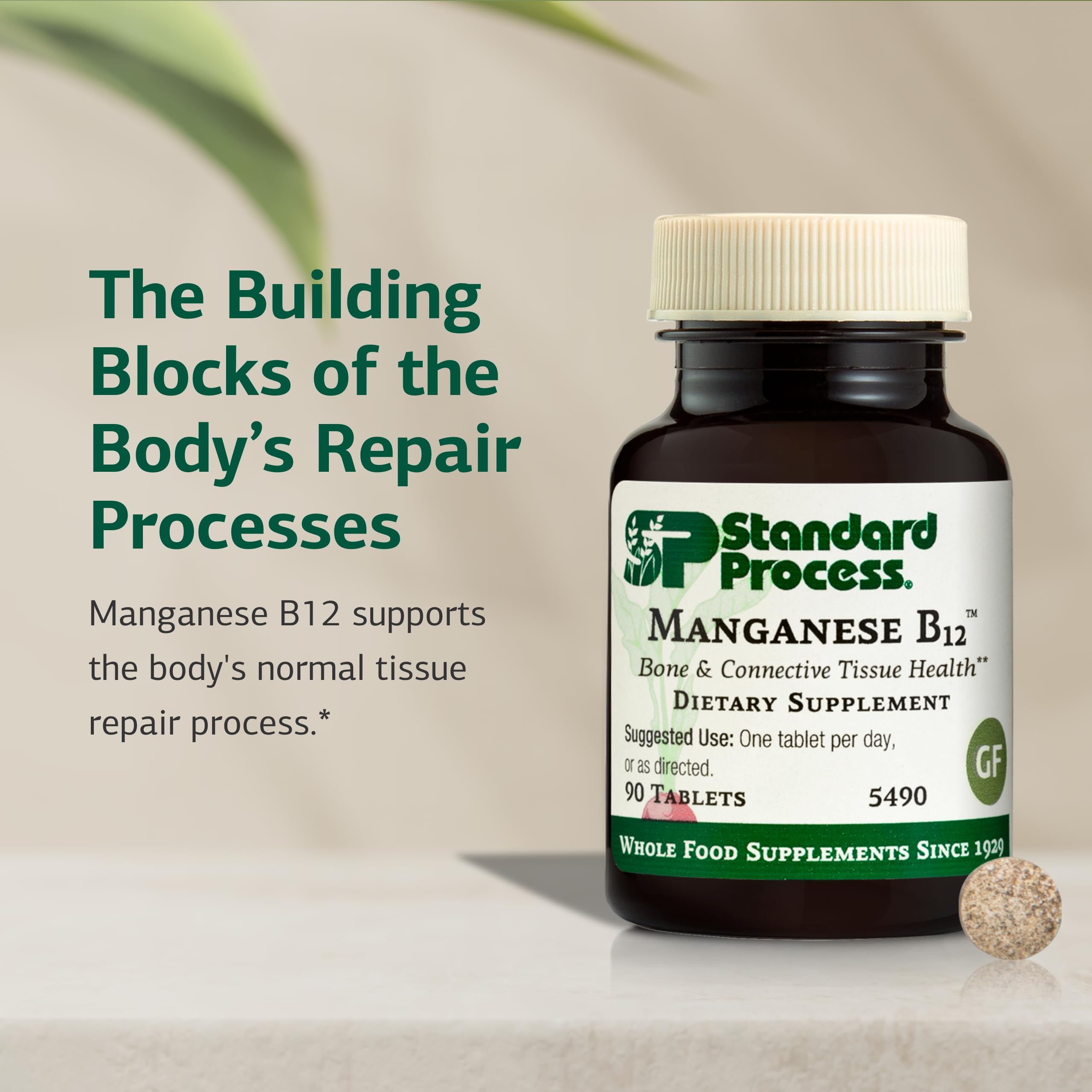 non-dairy manganese for sensitive diets