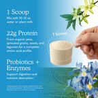 non-dairy protein powder for baking