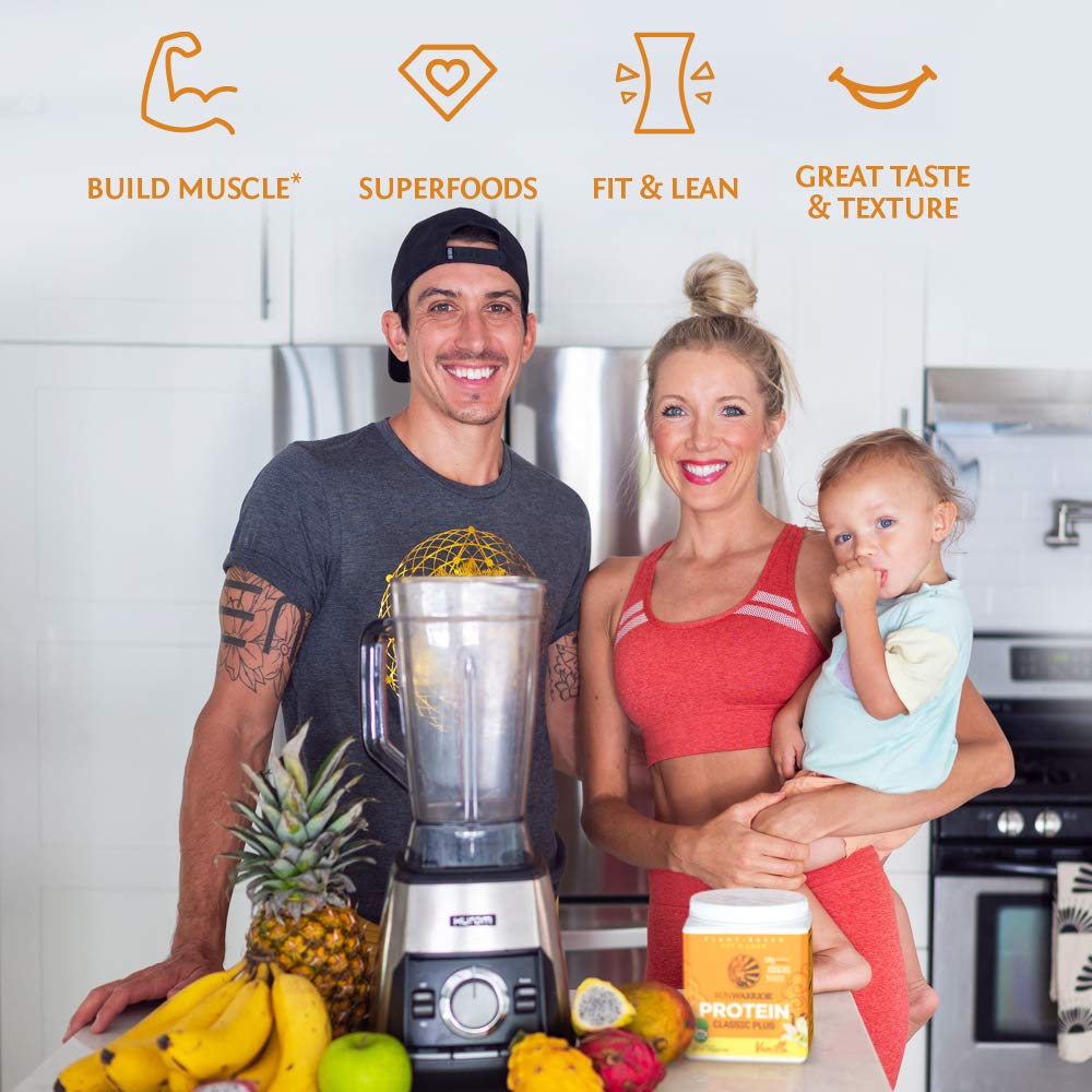 non-dairy protein supplement option