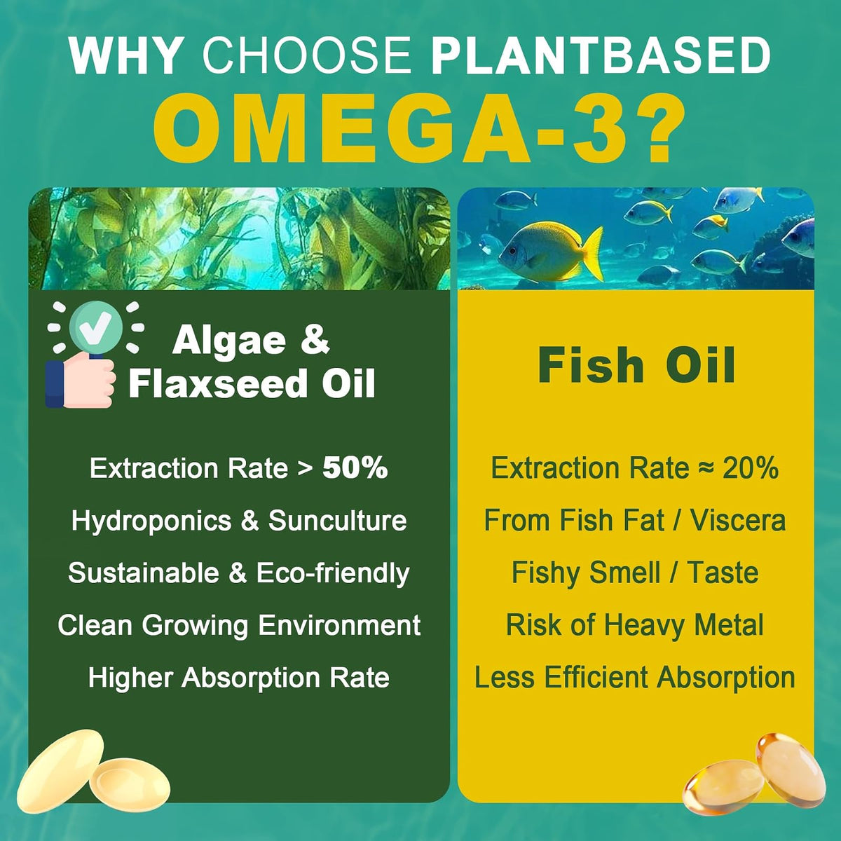 Non-fish Omega 3 for sustainable health