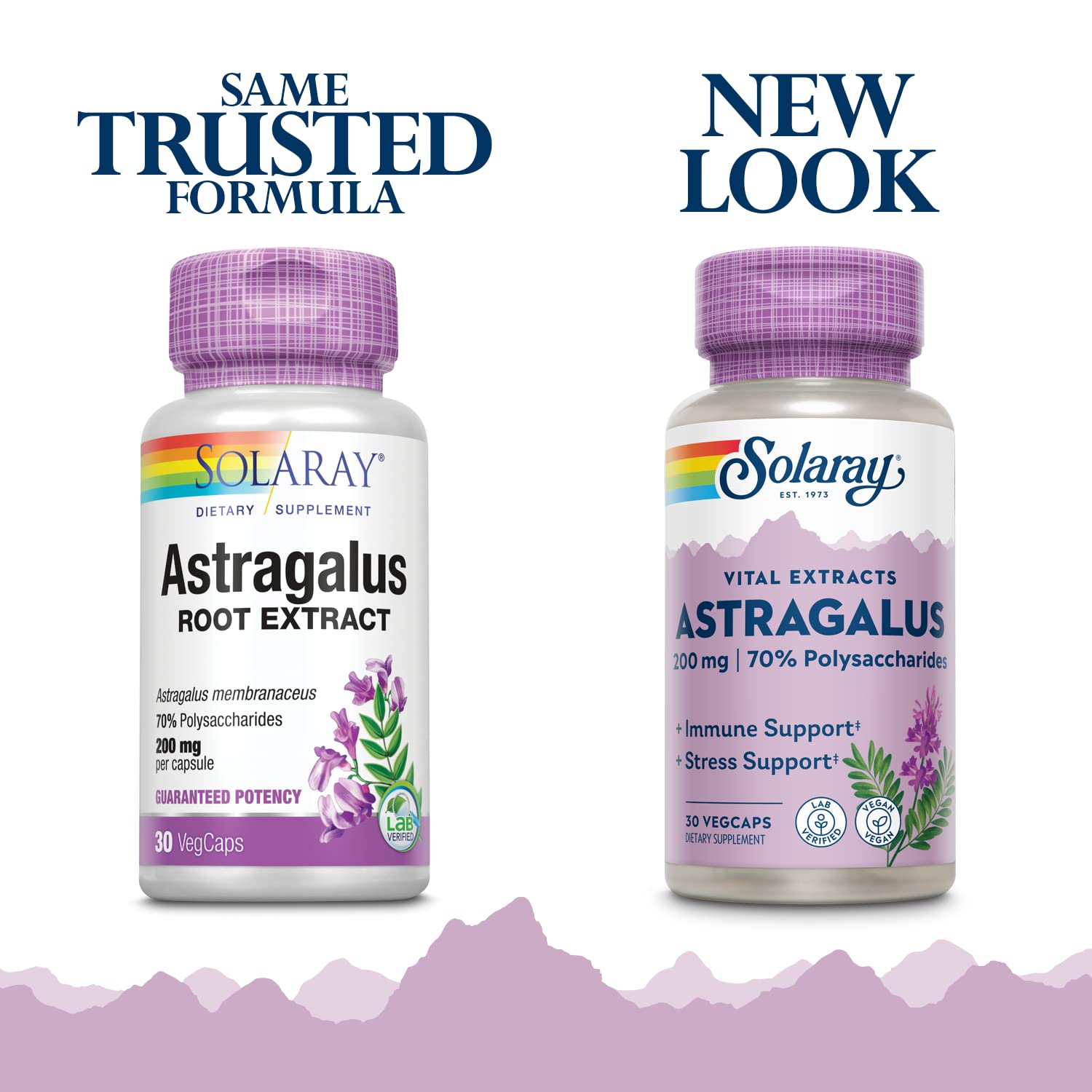 non-GMO astragalus root supplement