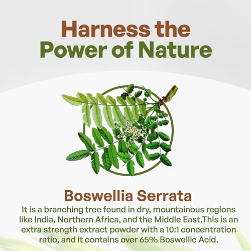 non-GMO boswellia serrata powder