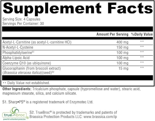 non-GMO brain support supplements