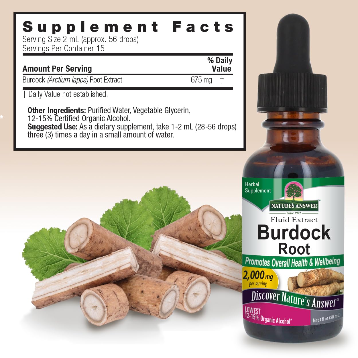 Non-GMO Burdock Root extract