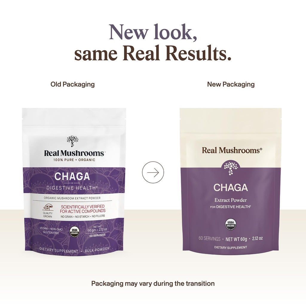 non-GMO chaga mushroom fruiting body