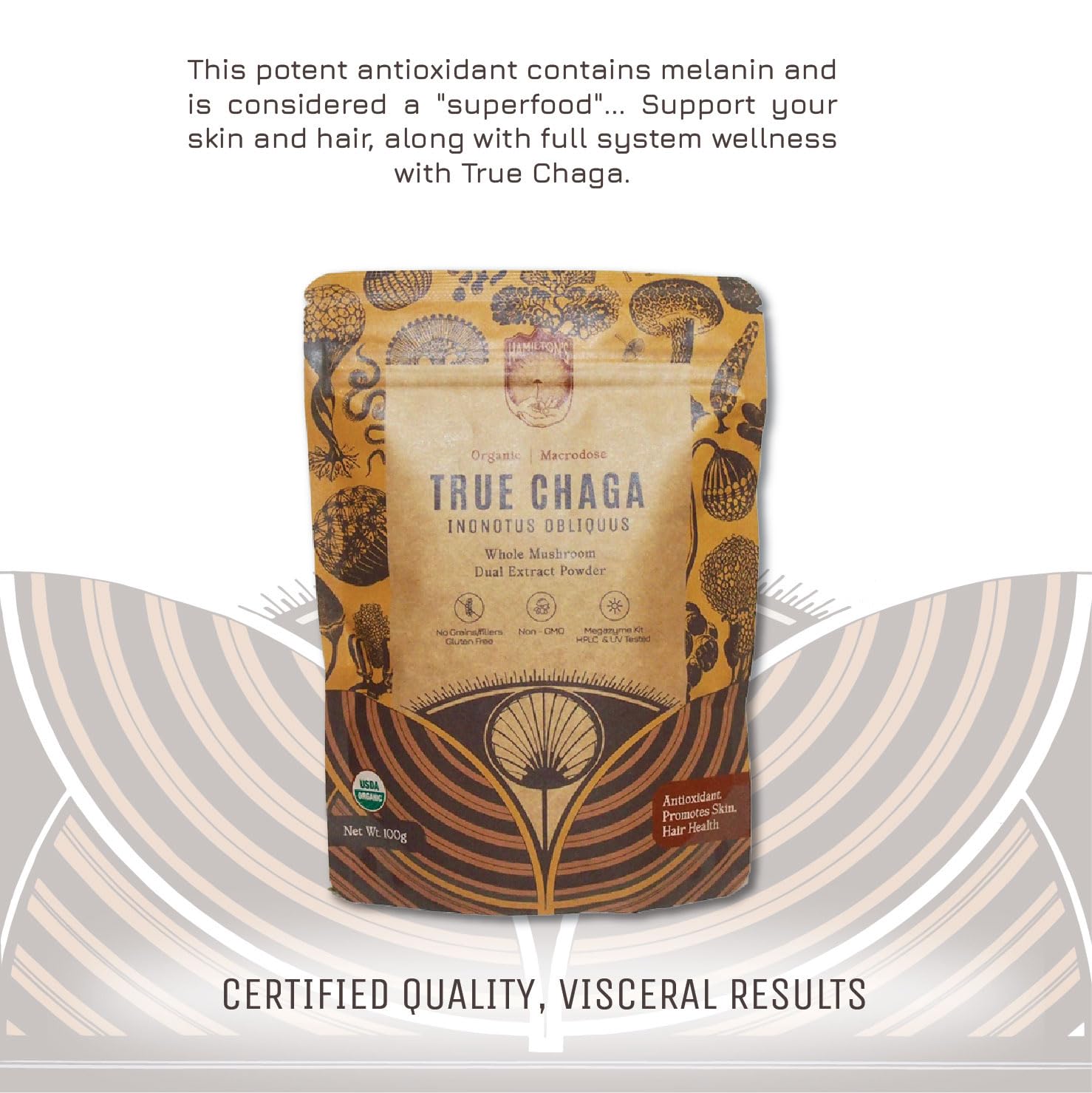 non-GMO chaga mushrooms for vitality