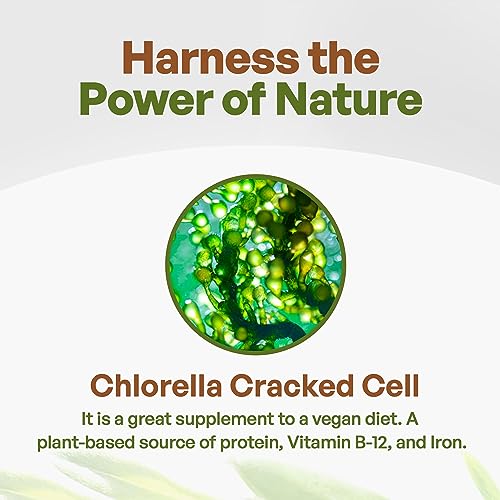 non-GMO chlorella powder for health