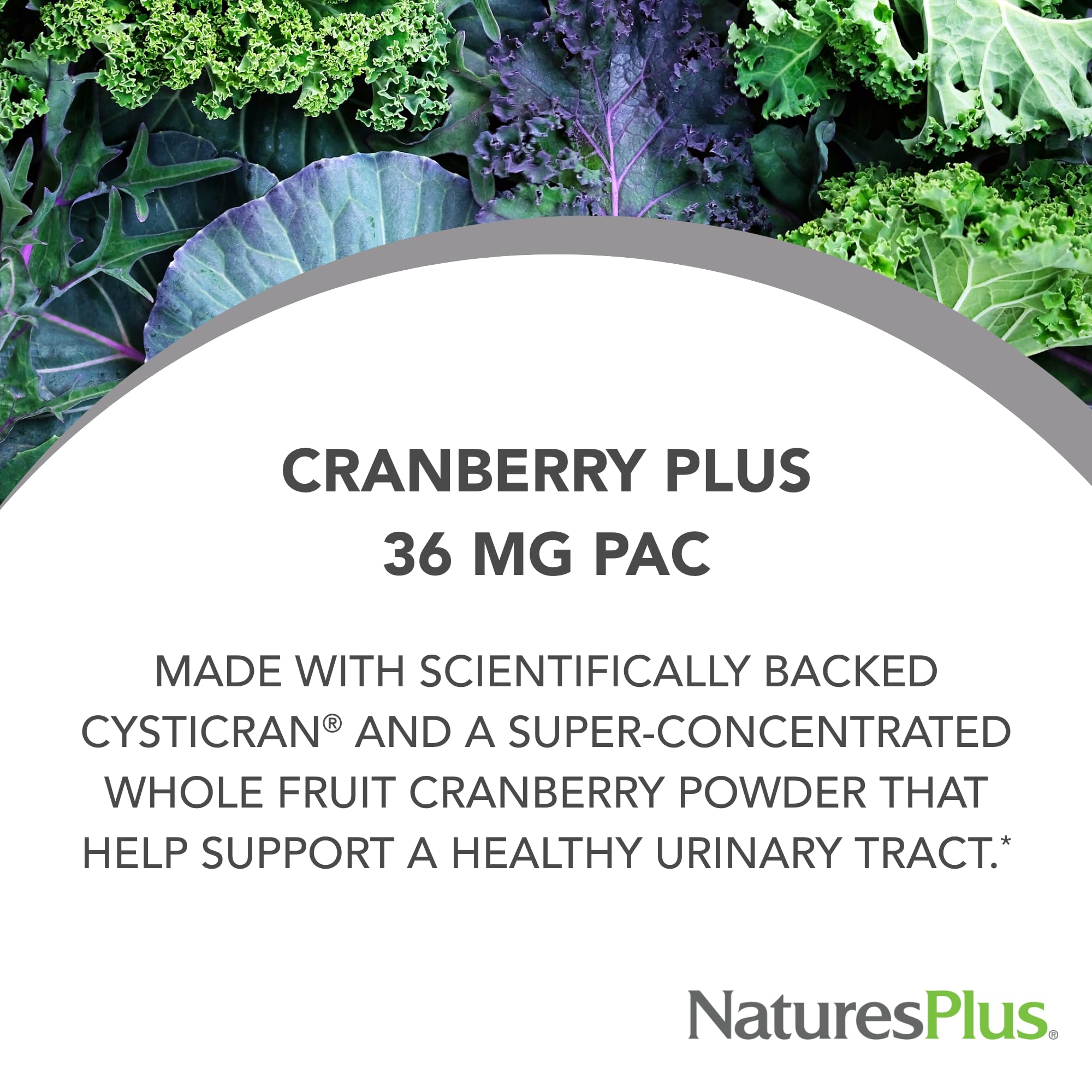 non-GMO cranberry extract for digestive support