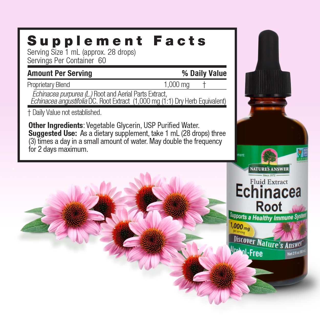 non-GMO echinacea extract benefits
