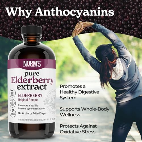 non-GMO elderberry extract for daily use