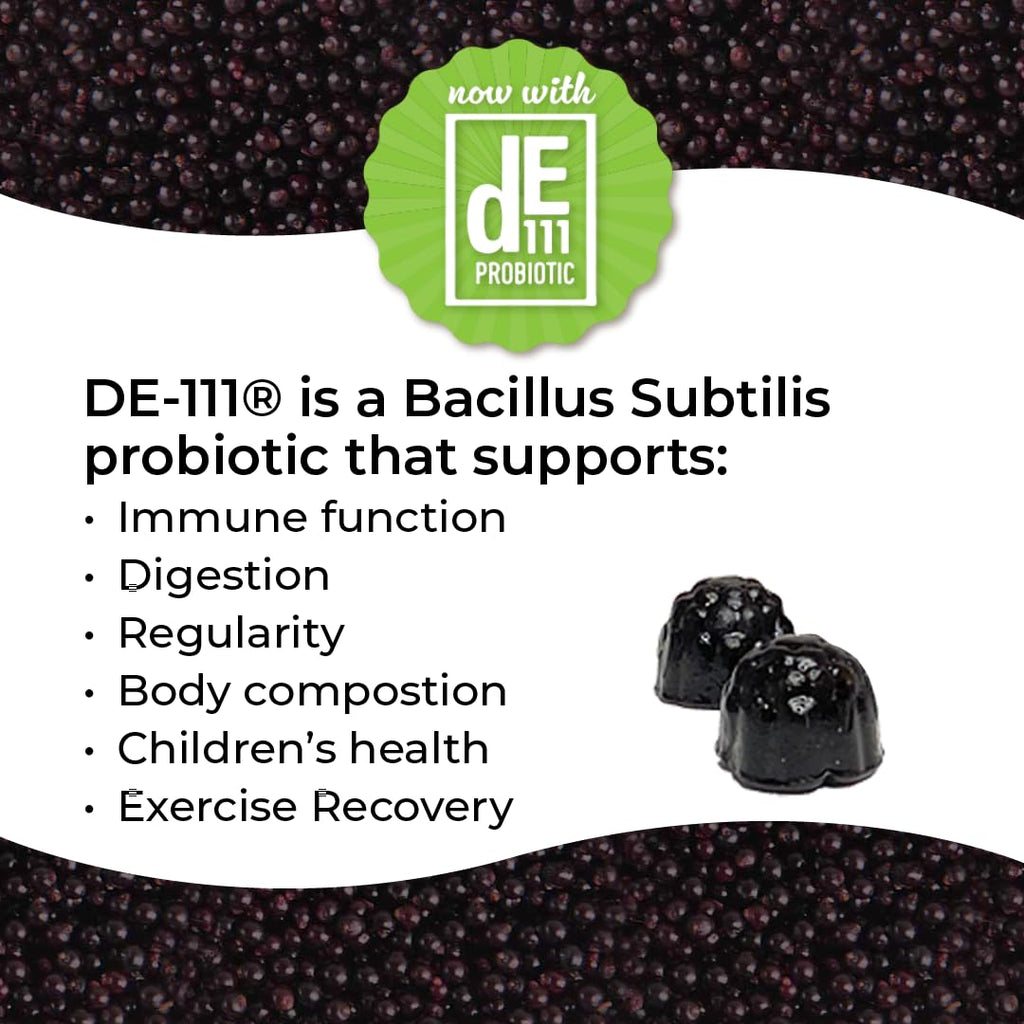 non-GMO elderberry gummies for wellness