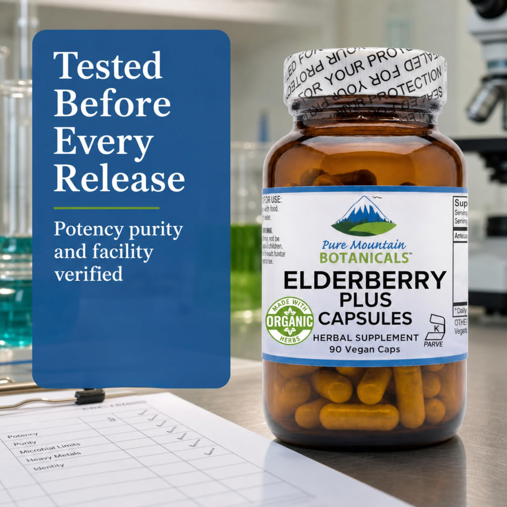 non-GMO elderberry supplement for families