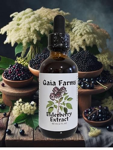 non-GMO elderberry syrup health benefits