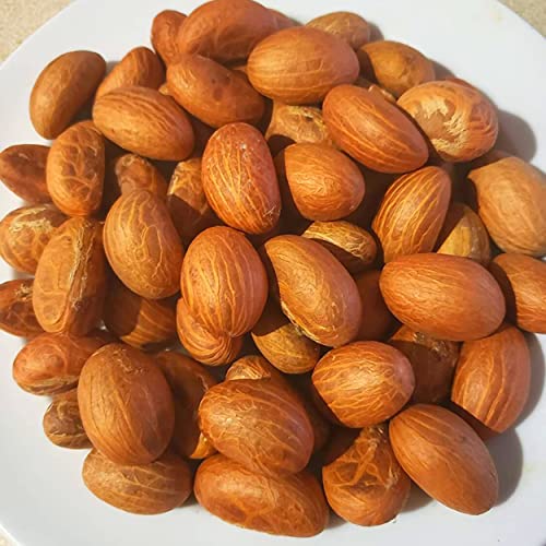 non-GMO garcinia cambogia supplement