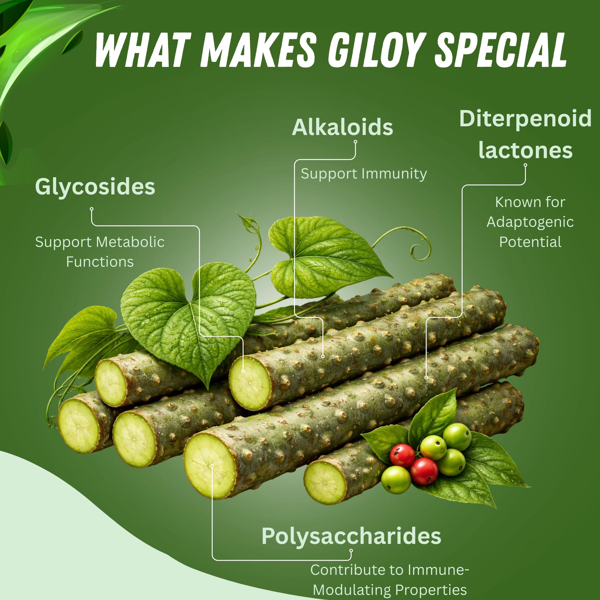 non-GMO giloy for health