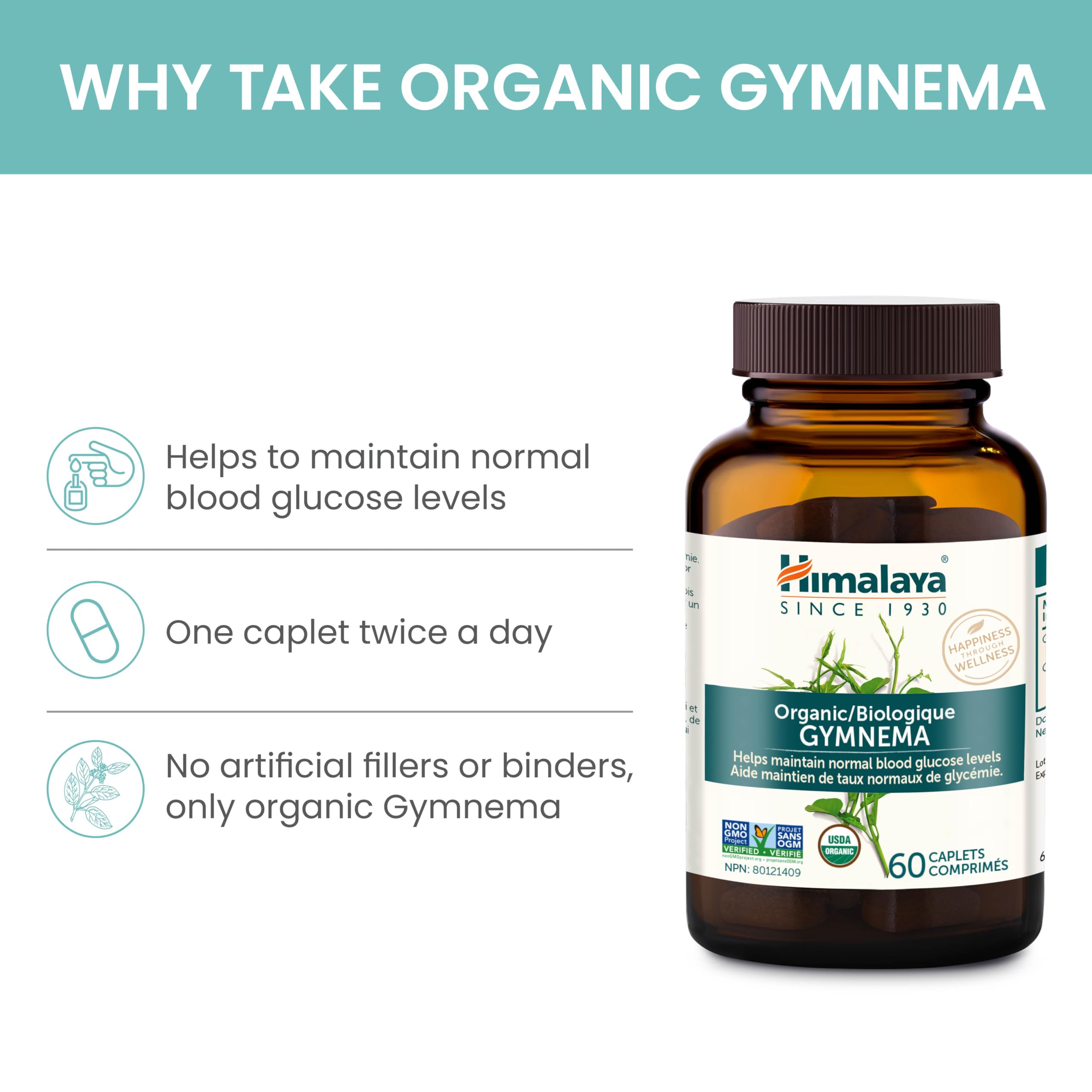 non-GMO gymnema sylvestre caplets
