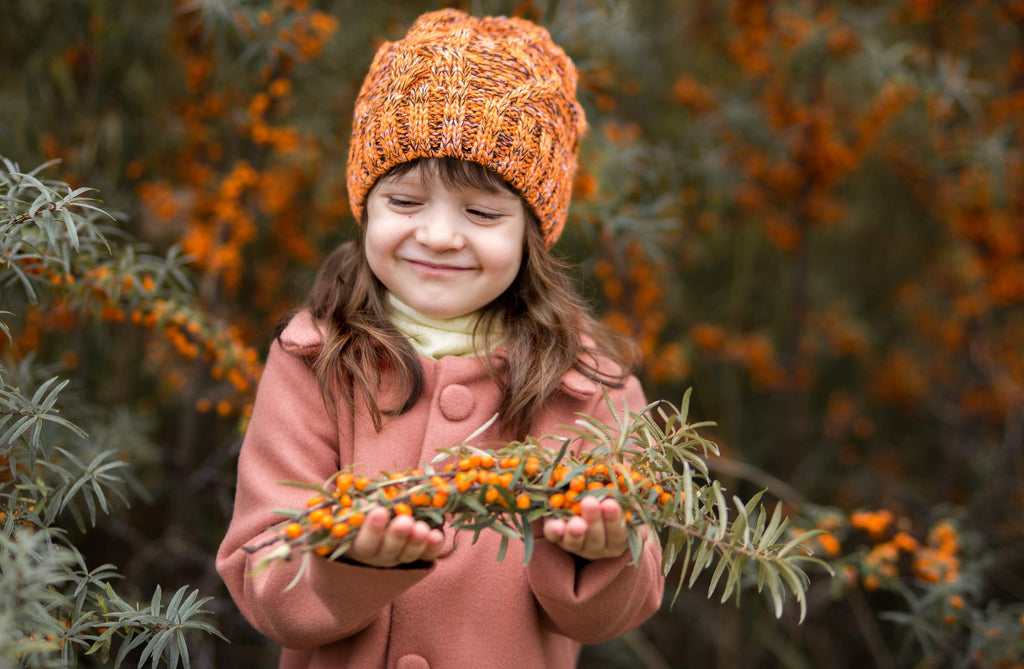 Non-GMO hawthorn powder for energy