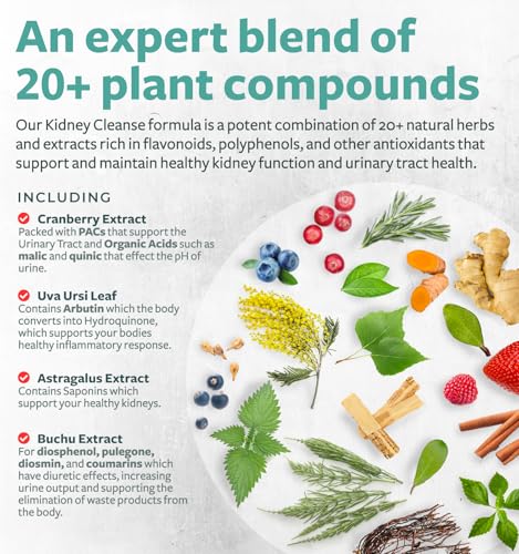 non-GMO herbal kidney detox