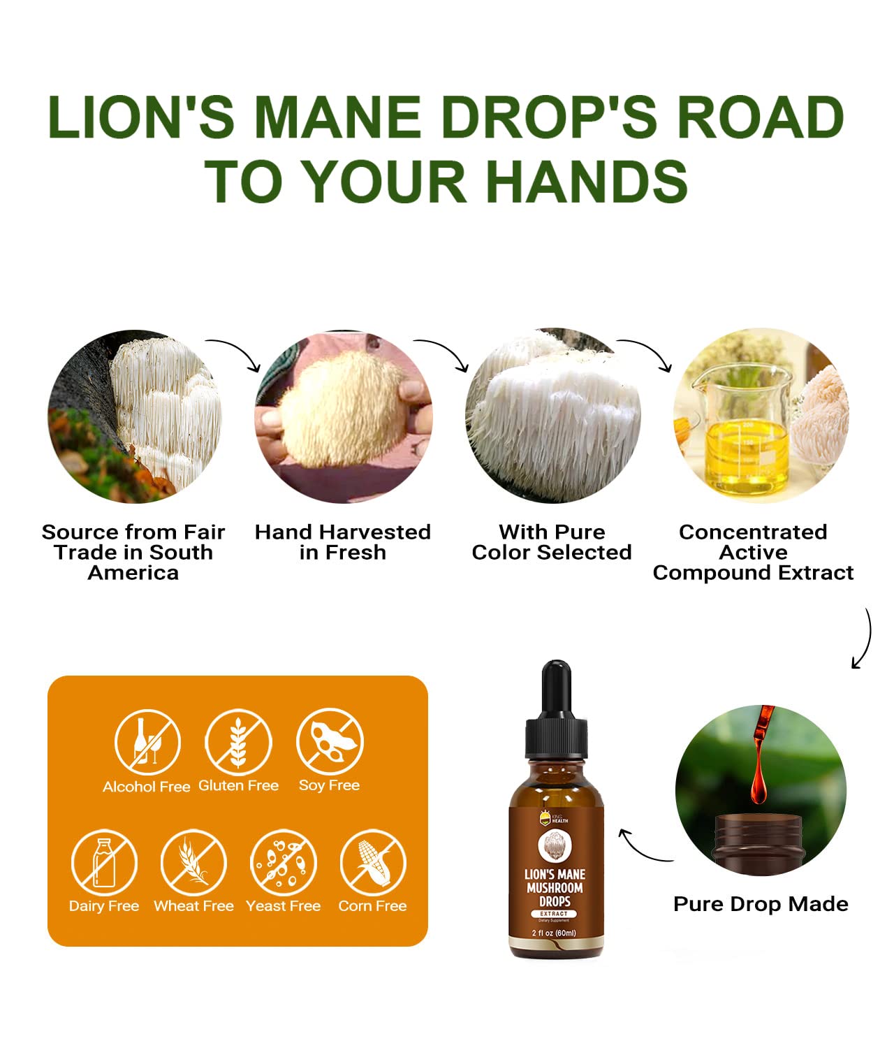 Non-GMO herbal mushroom tincture