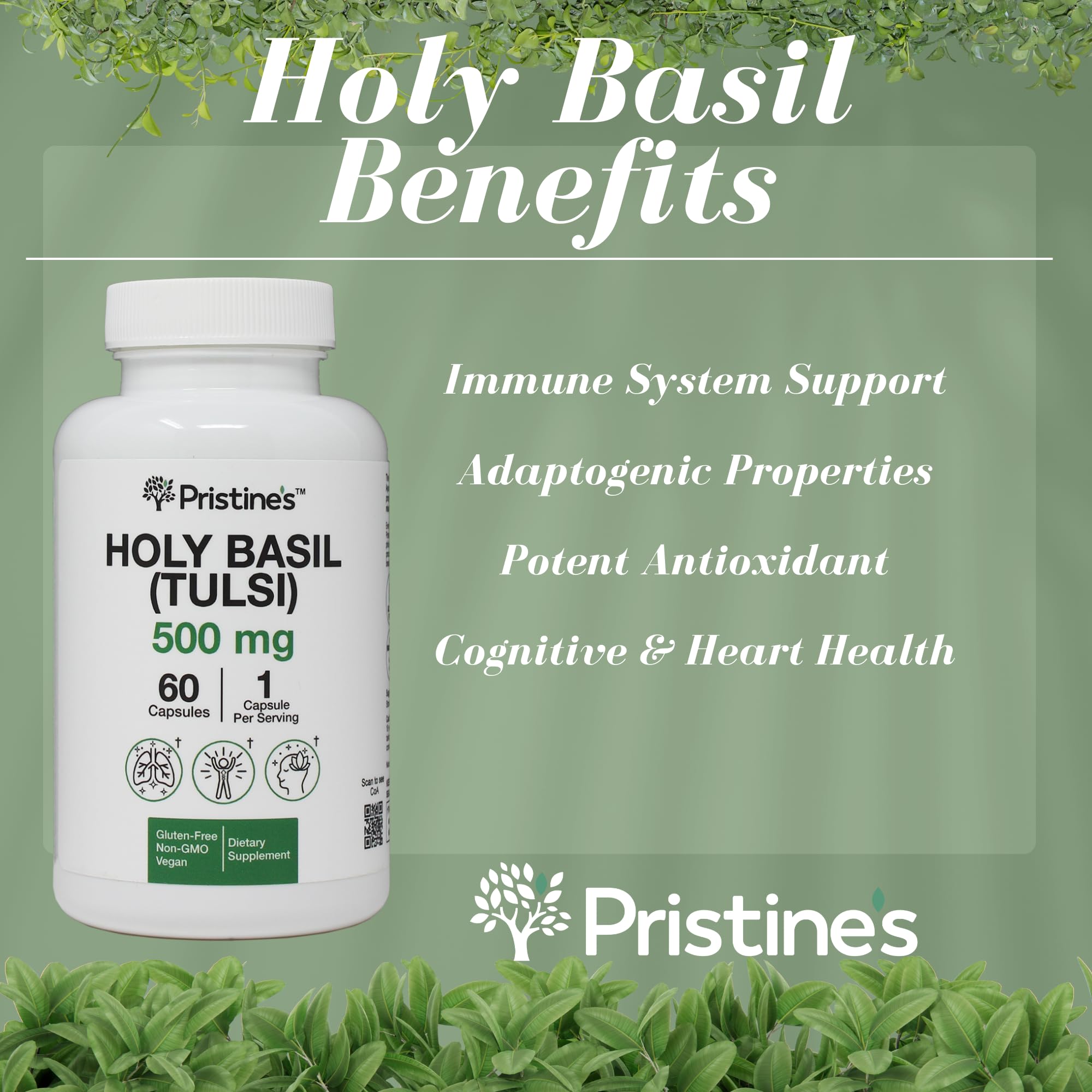 non-GMO holy basil for wellness