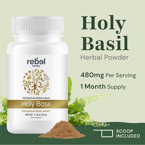 non-GMO holy basil powder benefits