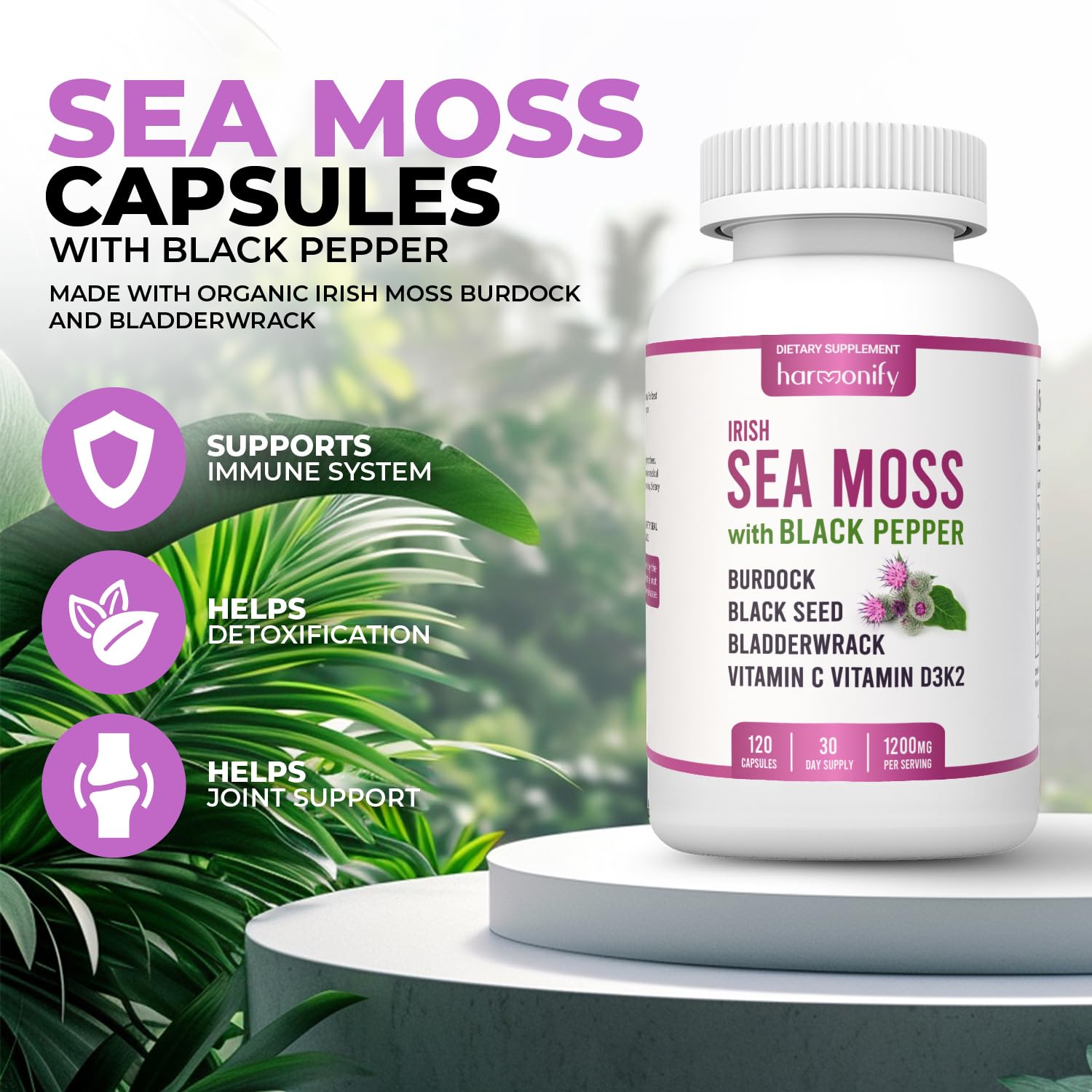 non-GMO immune support capsules