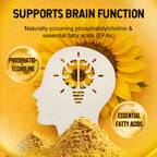non-GMO lecithin powder for health