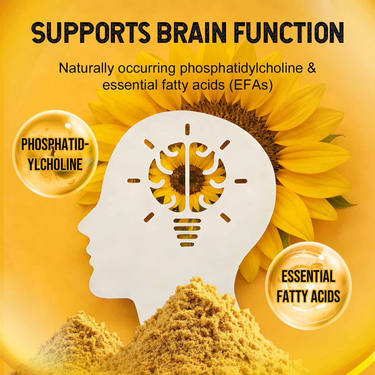 non-GMO lecithin powder for health