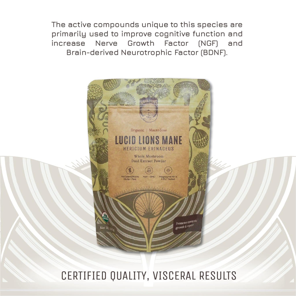 non-GMO lion's mane mushroom powder