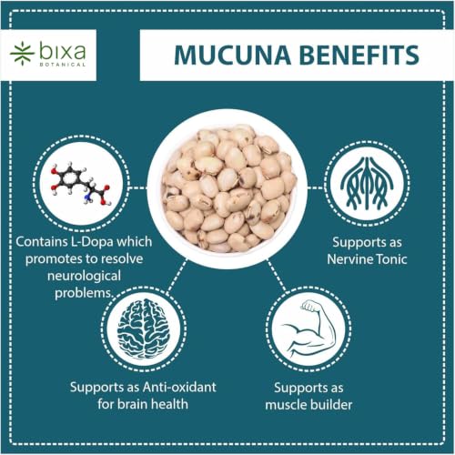 Non-GMO Mucuna Pruriens powder