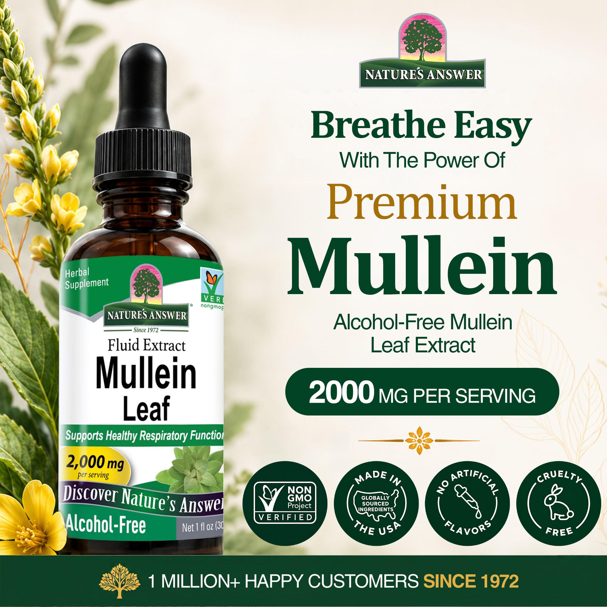 non-GMO mullein leaf extract
