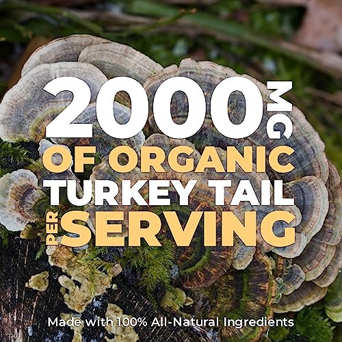 non-GMO mushroom health benefits
