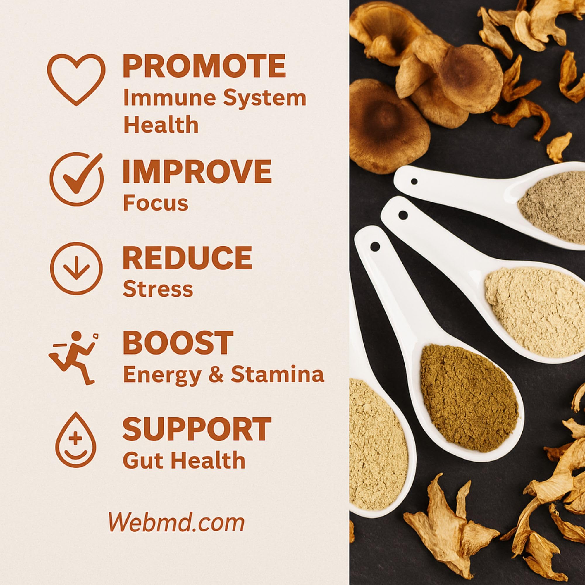 non-GMO mushroom health supplement