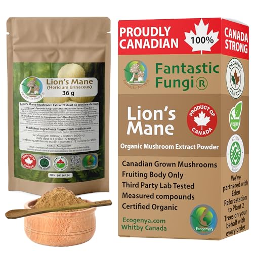 Non-GMO mushroom supplement benefits