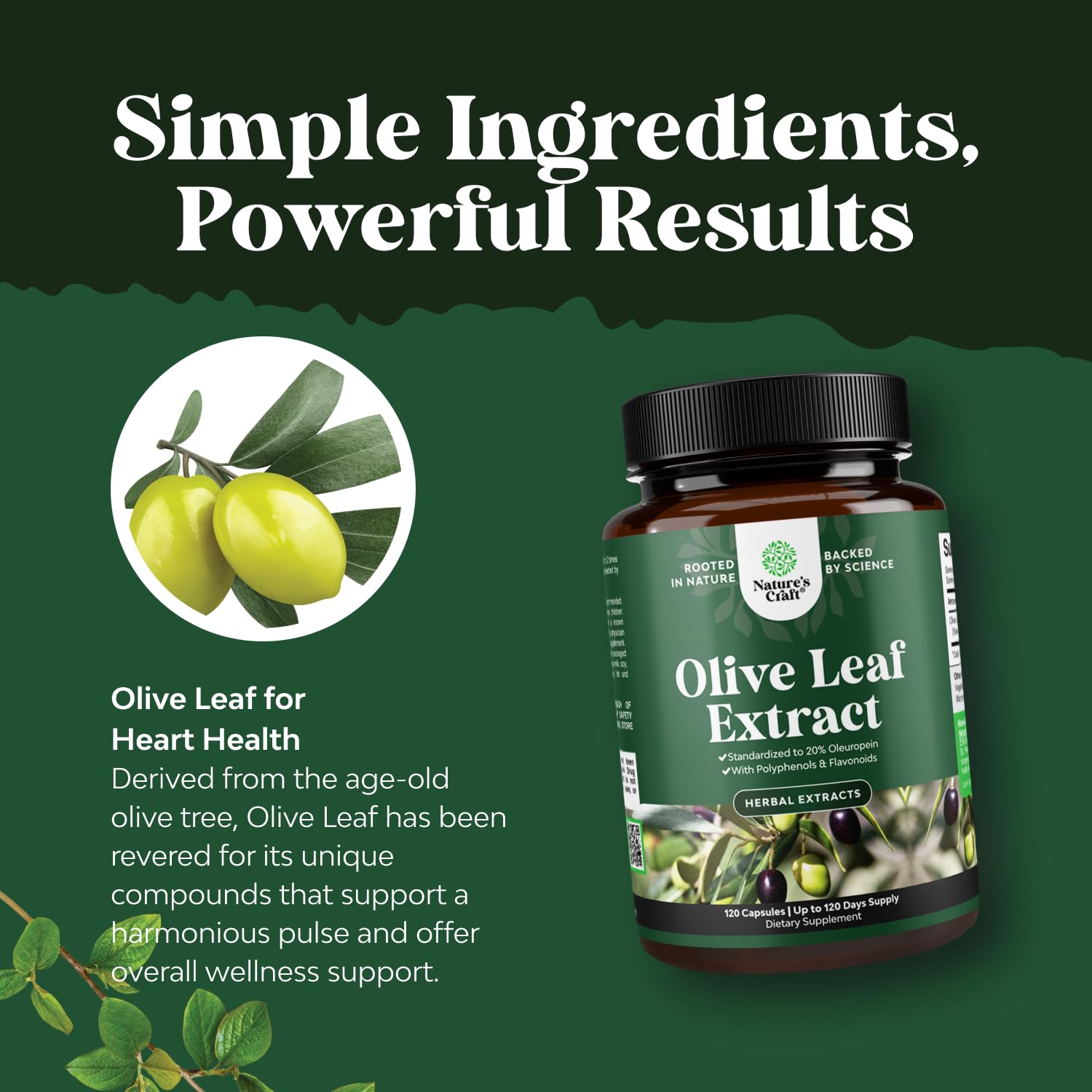 non-GMO olive leaf capsules
