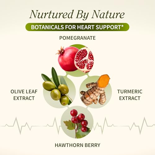 non-GMO olive leaf extract capsules