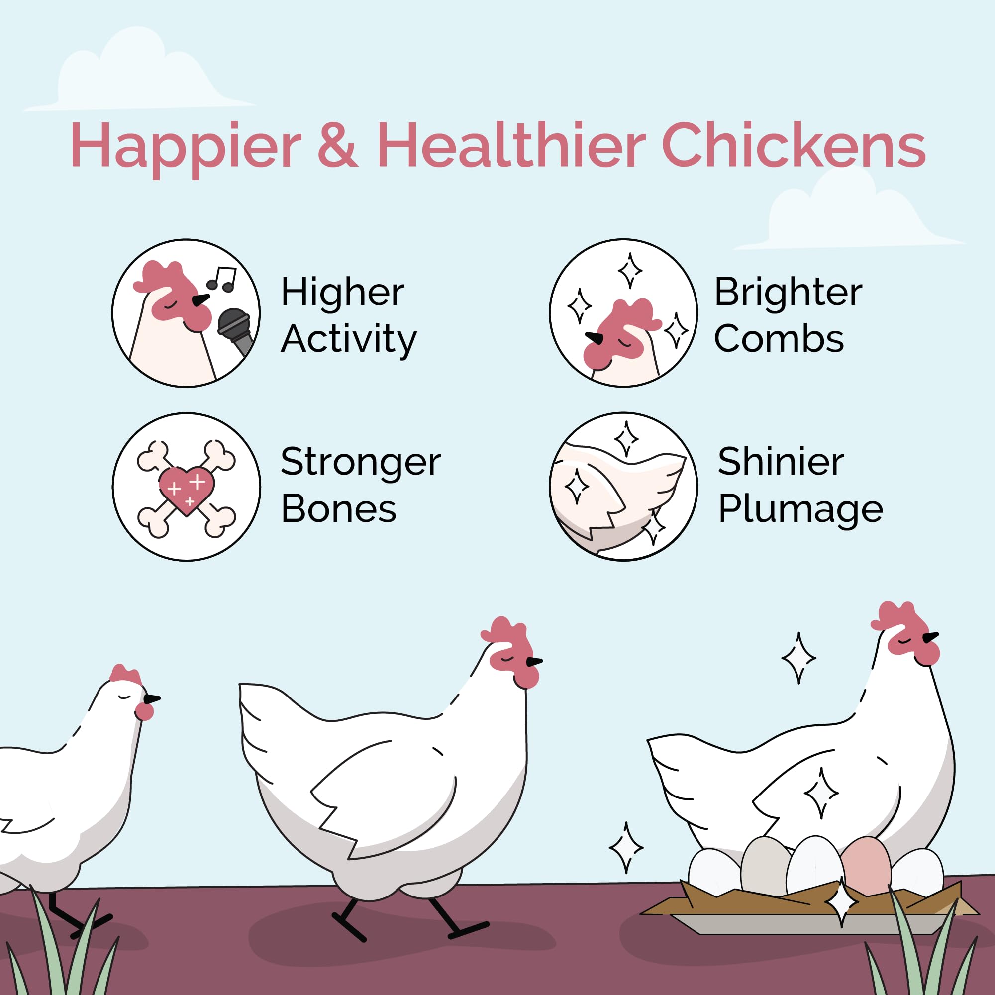 non-GMO poultry feed for healthier hens
