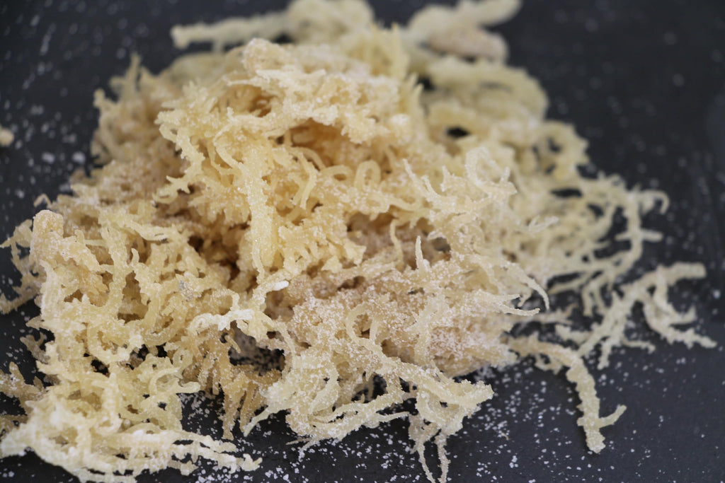 non-GMO sea moss for wellness