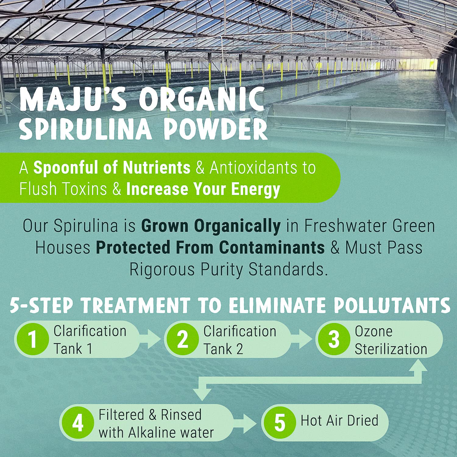 non-GMO spirulina for vegan diets