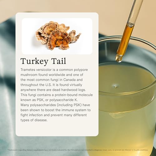 non-GMO Turkey Tail mushroom benefits